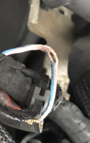 [Mercedes Sprinter 01/2008 2987cc 642992 135Kw Diesel] recovery P1955 ...